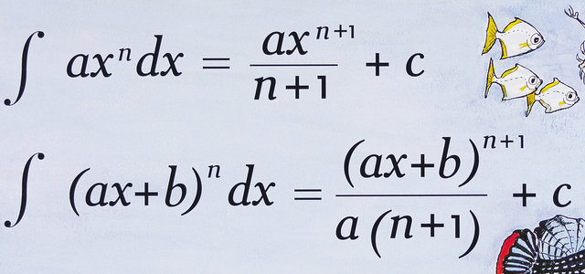 Integration. Senior Maths Poster. Educational Aid. Math Poster. | eBay